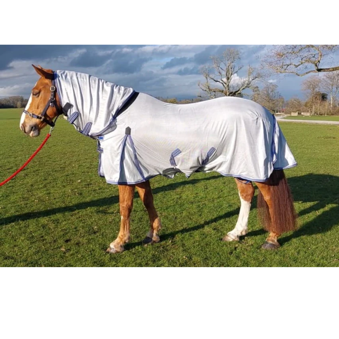 Turfmaster Full Neck Fly Rug – Arrabawn