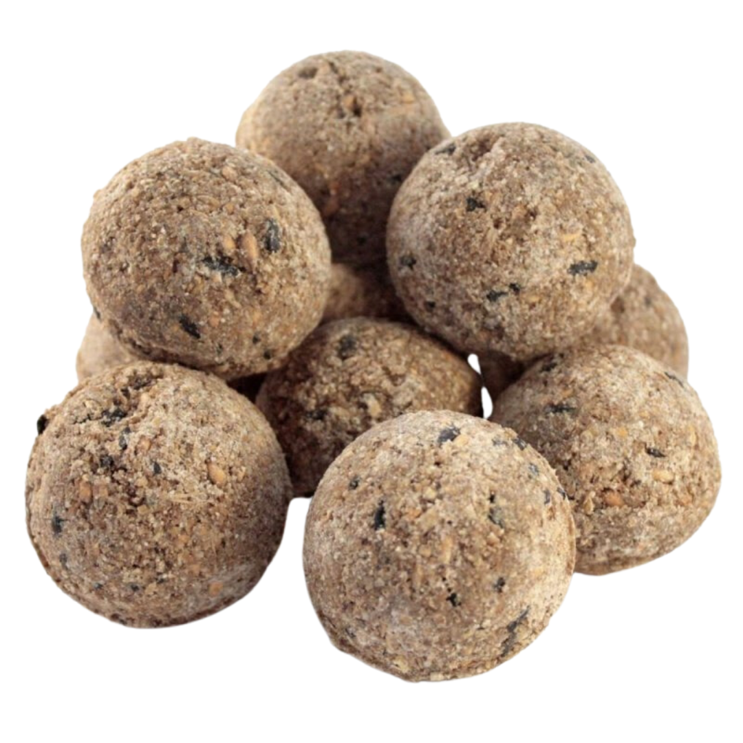 Fat Balls Tub Of 50 – ArraTipp